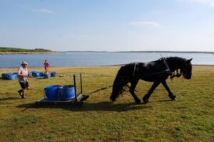 Kerdroya, the Cornish Landscape Labyrinth